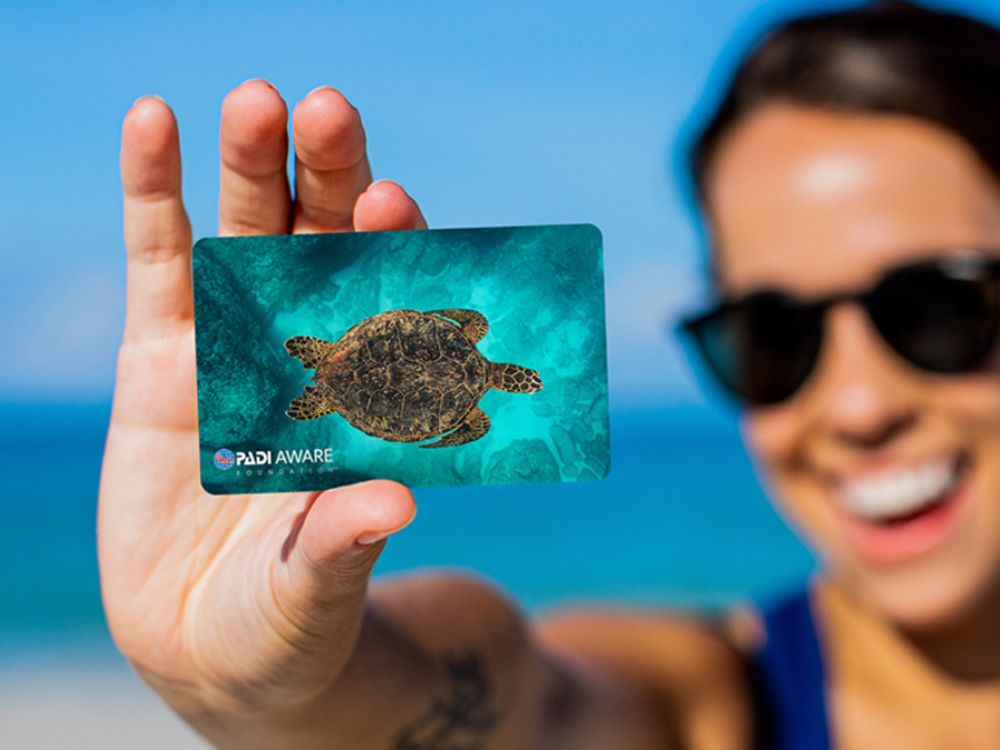 Stay Connected and Enhance Your Diver Experience
