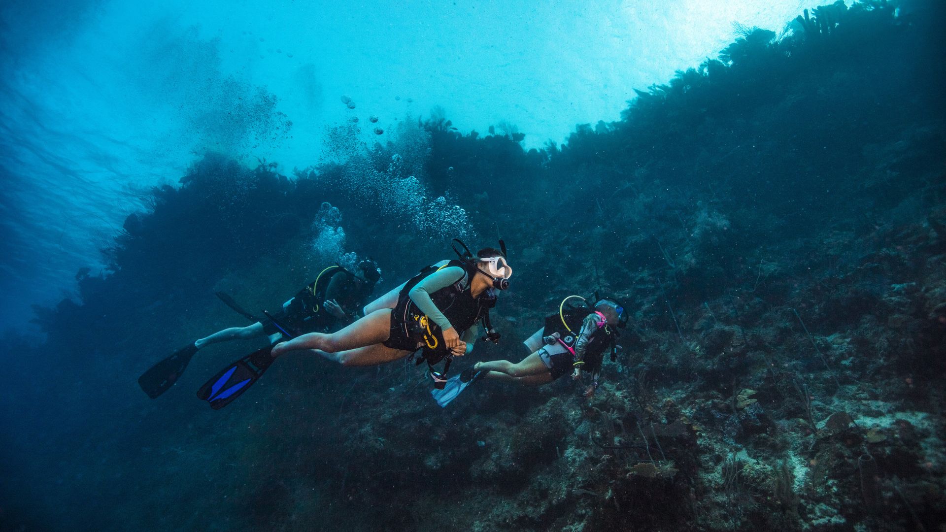 PADI Instructor Development Course - IDC