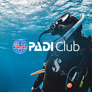 PADI Cavern Diver Course