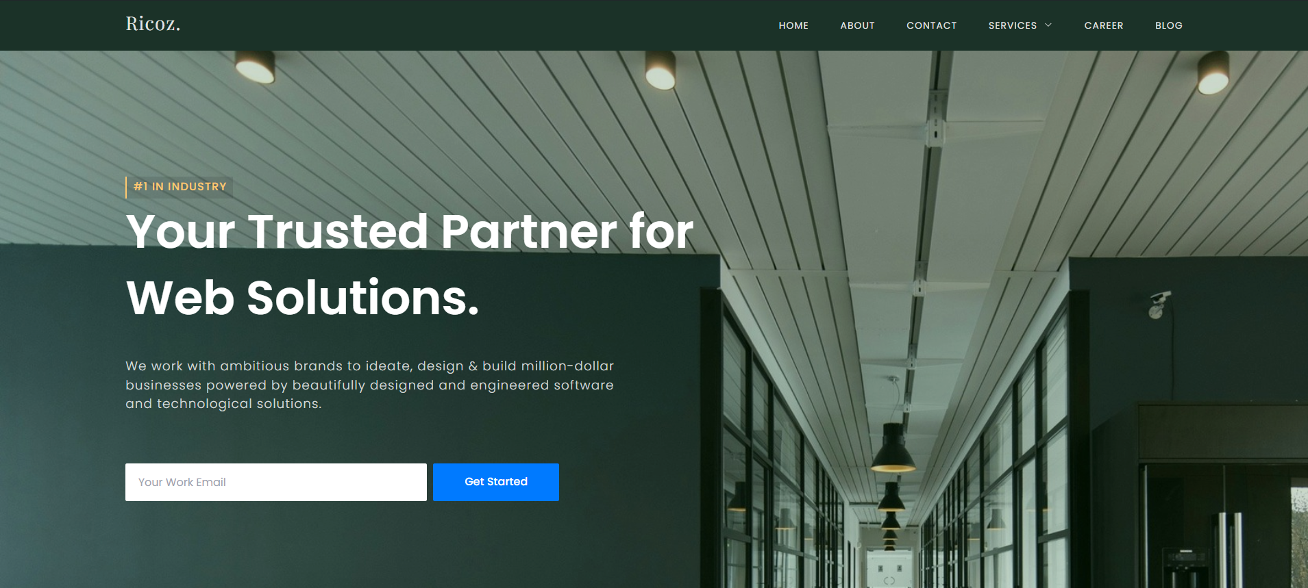 GitHub - org-firstricoz/ricoz_web_v1