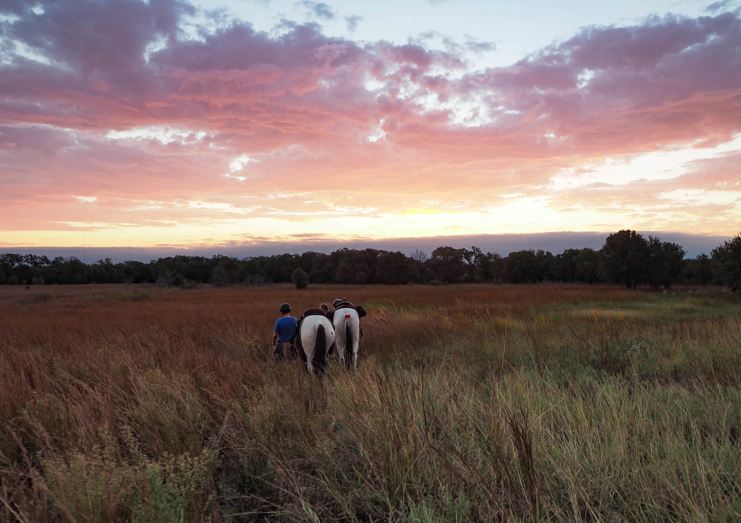 Discover The Diversity Of Lbj National Grasslands Austin Travels Magazine