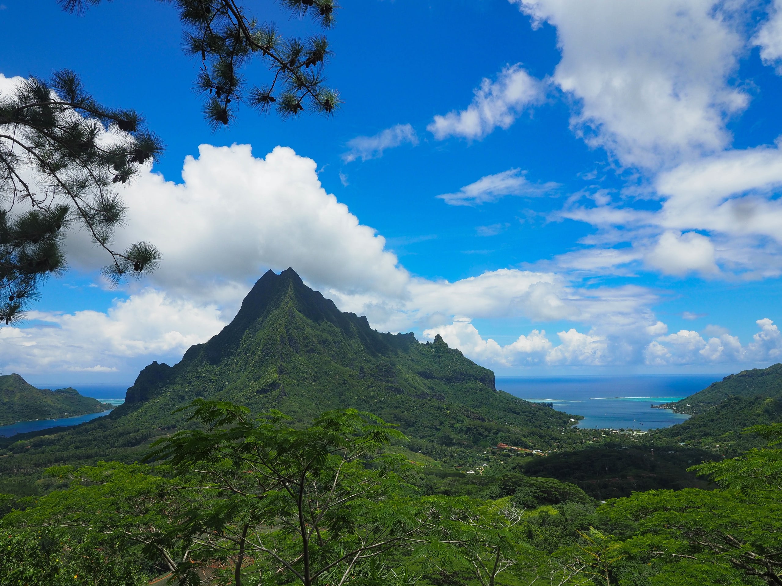 Hiking and Swinging through French Polynesian Paradise - Austin Travels ...
