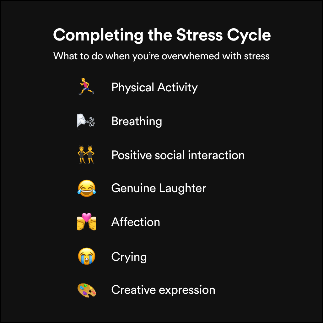 What to Do When You're Overwhelmed With Stress | Bunch Leadership Coach