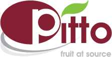 Pitto Pty on Claridock | producer South Africa | grapes