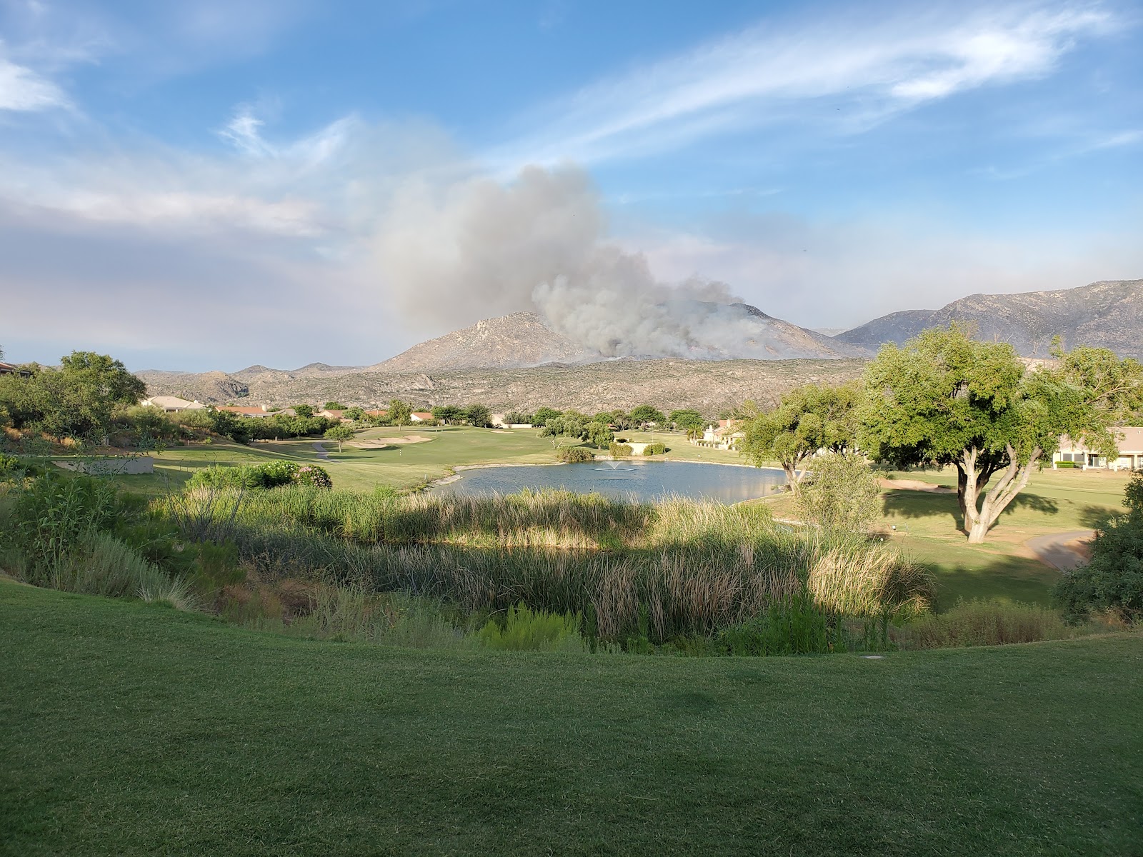 SaddleBrooke Country Club – Green Fees, Yardage, Course Info