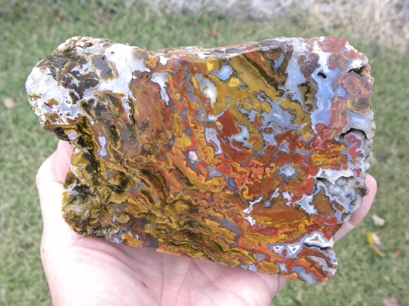 Unknown Oregon(?) Rock | Rock Tumbling Hobby