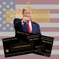 TRB BLACK CHECK REVIEW-SCAM? ALL YOU NEED TO KNOW | DIBIZ Digital ...