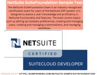 NetSuite SuiteFoundation Sample Test | DIBIZ Digital Business Cards