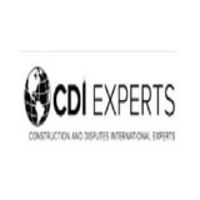 Cdi Experts | DIBIZ Digital Business Cards