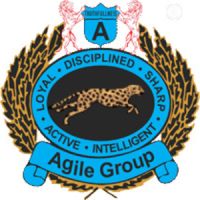 Agile Security
