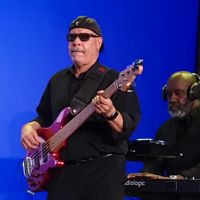 David Walmsley | DIBIZ Digital Business Cards