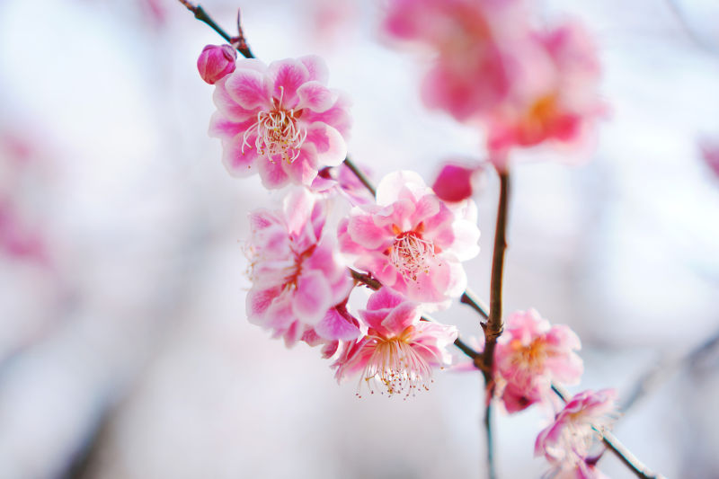 KANYA TECHABURANATEPAPORN | DIBIZ Digital Business Cards