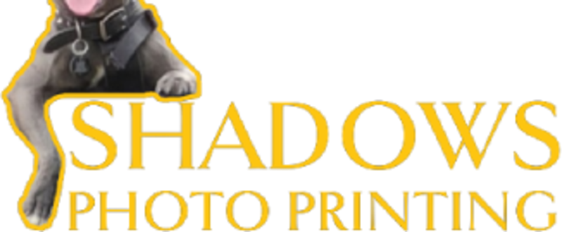 Shadows Photo Printing | DIBIZ Digital Business Cards