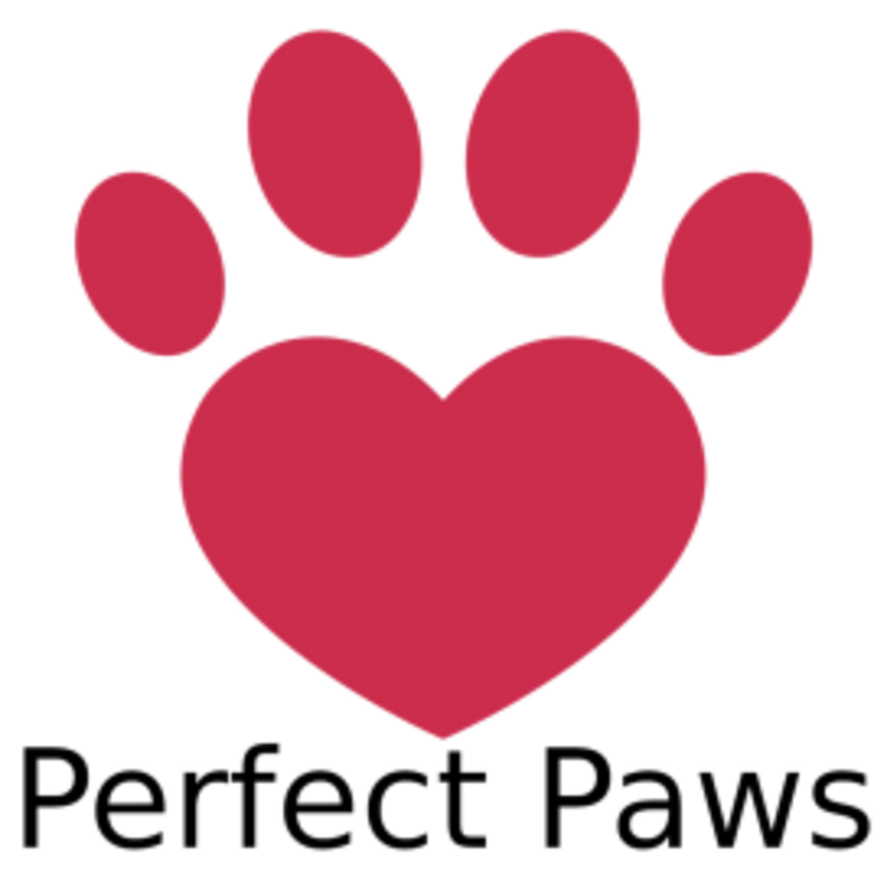 Perfect Paws | DIBIZ Digital Business Cards