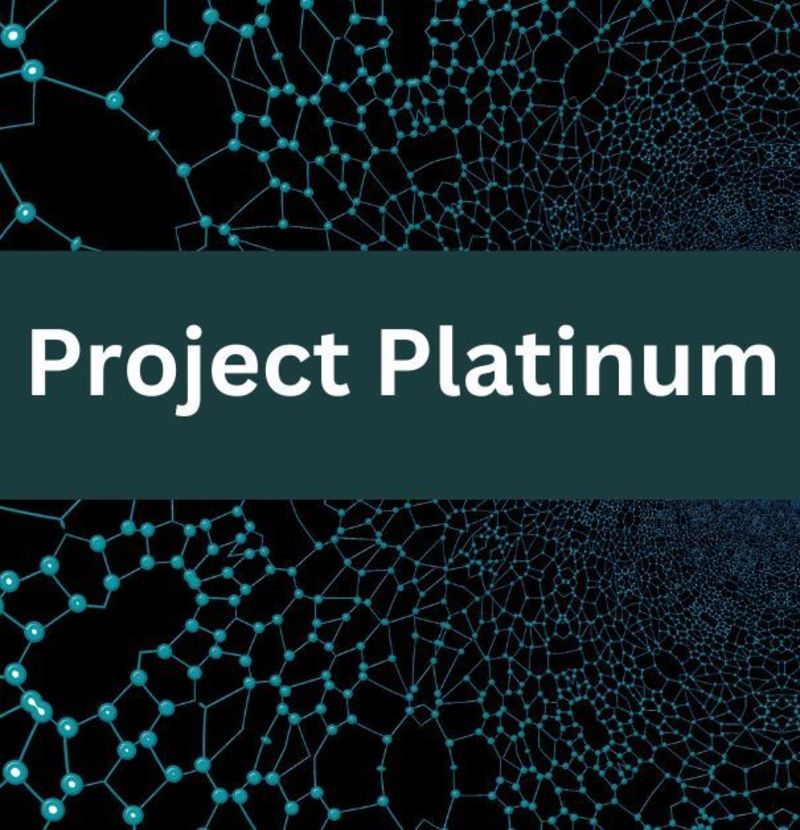 Project Platinum Reviews | DIBIZ Digital Business Cards
