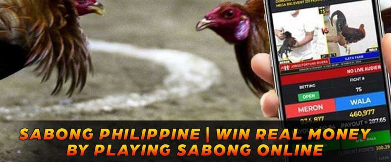 Sabong Philippine | DIBIZ Digital Business Cards