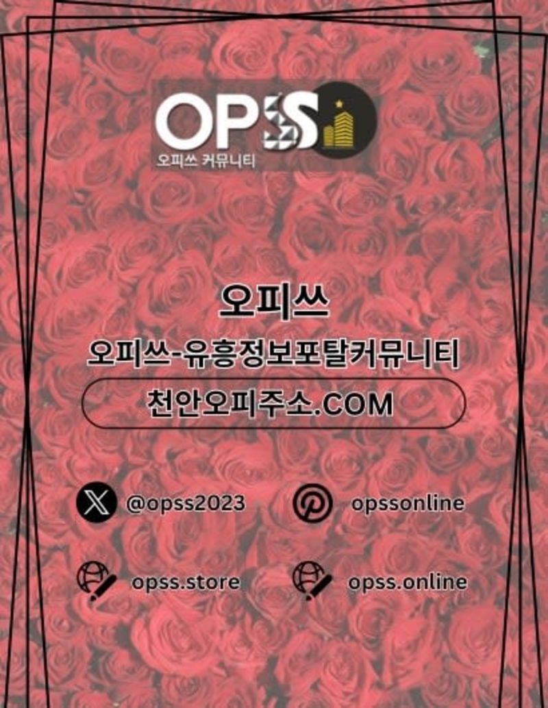 홍대오피 오피사이트.NET 홍대OP | DIBIZ Digital Business Cards