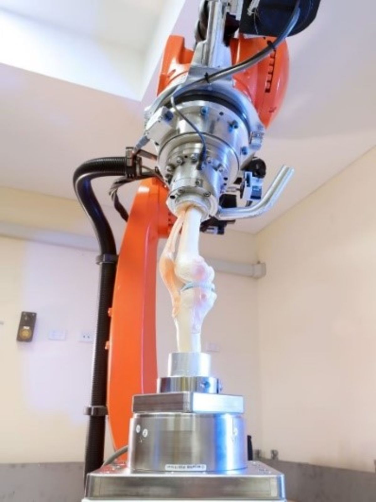 The Promise of Biomechanics in Musculoskeletal Research