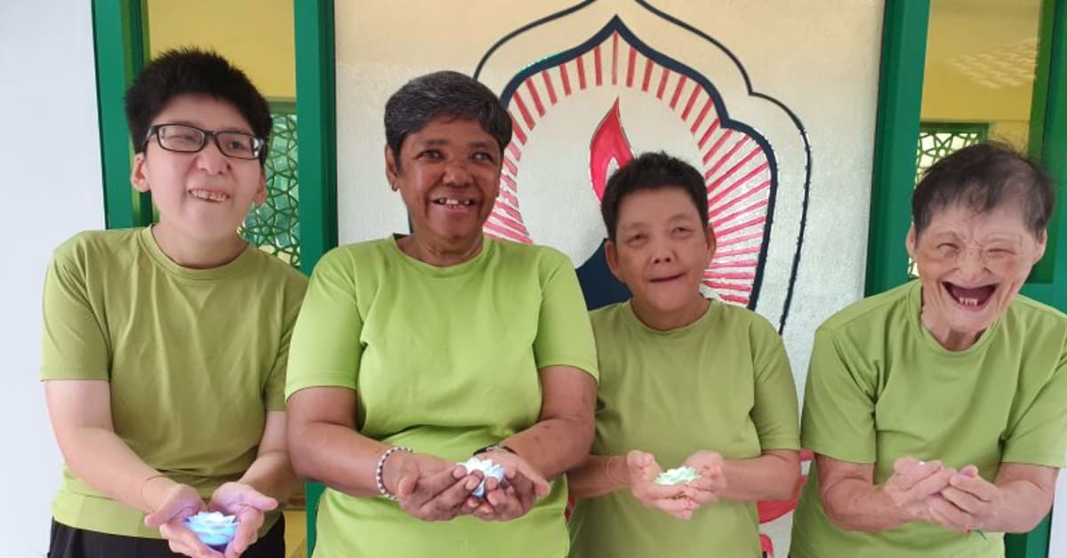 Mrs Singapore Chinatown Fund Raising For Metta Home