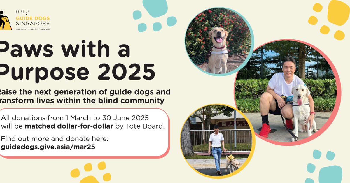 Paws With a Purpose 2025