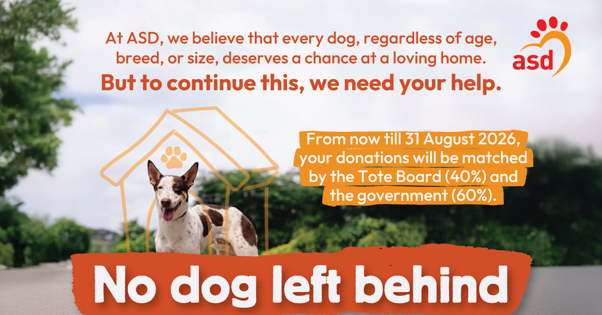 No Dog Left Behind