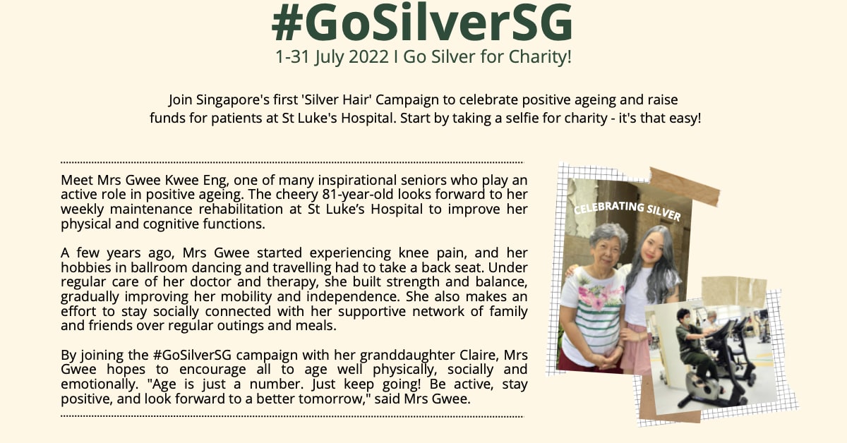 #GoSilverSg - Go Silver For Charity!