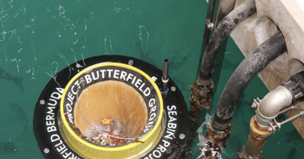 Help us buy a SEABIN!