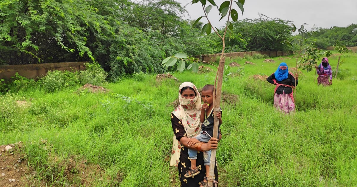 Support for 2500 Tree Plantation in India