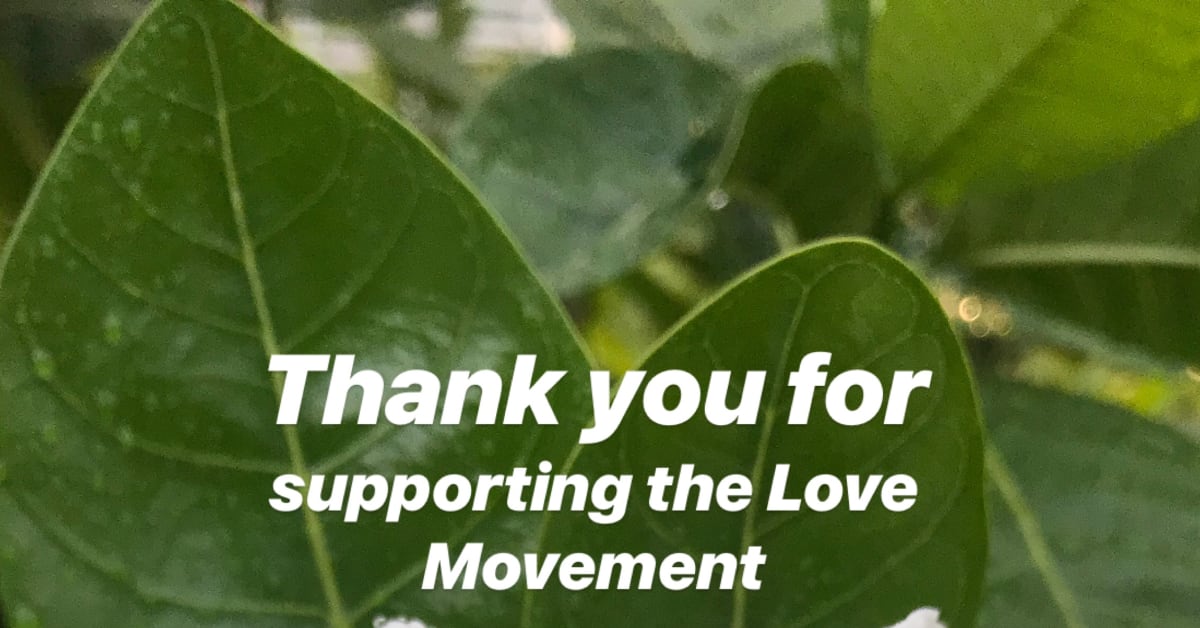 The Love Movement