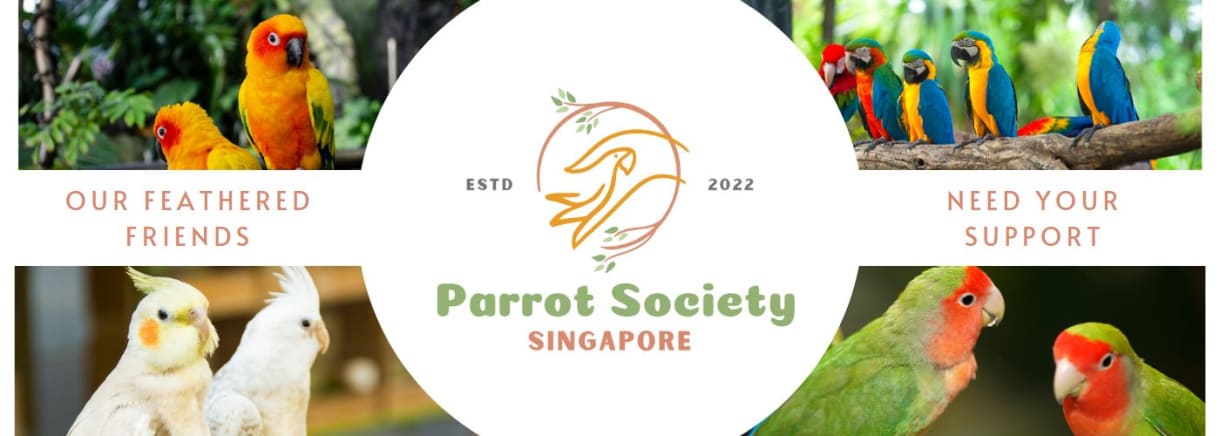 Parrot Society (Singapore)