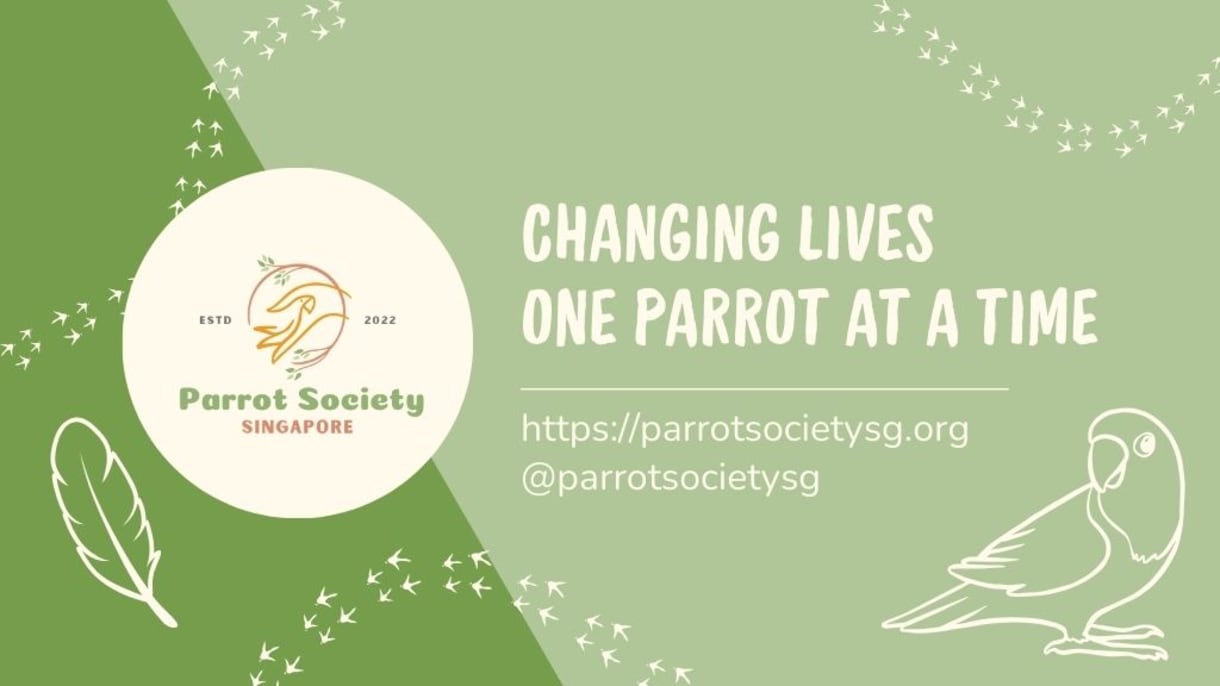 Parrot Society (Singapore)