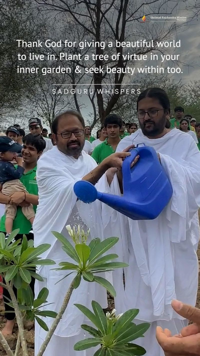 SHRIMAD RAJCHANDRA MISSION DHARAMPUR (SINGAPORE) LTD. | Givepedia