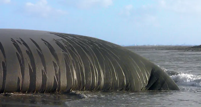 Ống địa kỹ thuật xác định kích thước lỗ ASTM D4751