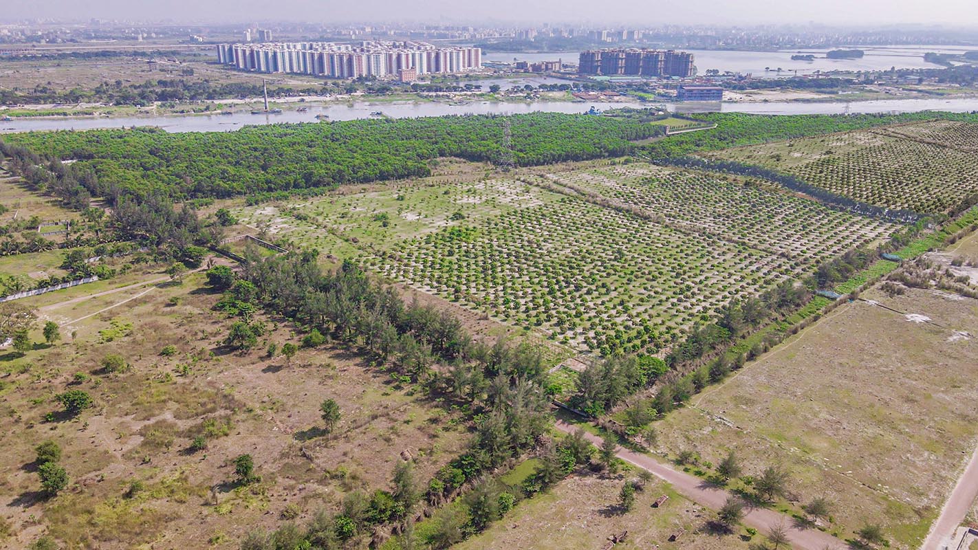 ASHULIA MODEL TOWN | Amin Mohammad Lands Development Ltd.