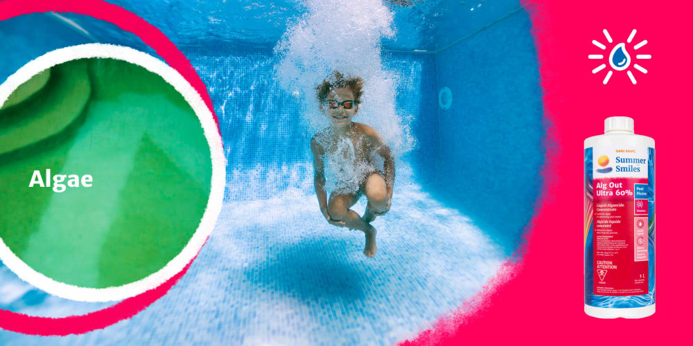 Algae in pool water, solution, ALG OUT | Summer Smiles