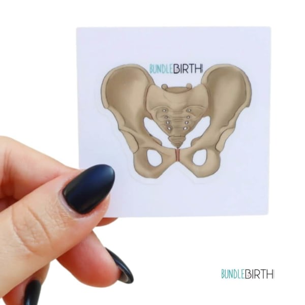 Pelvis Sticker | Bundle Birth