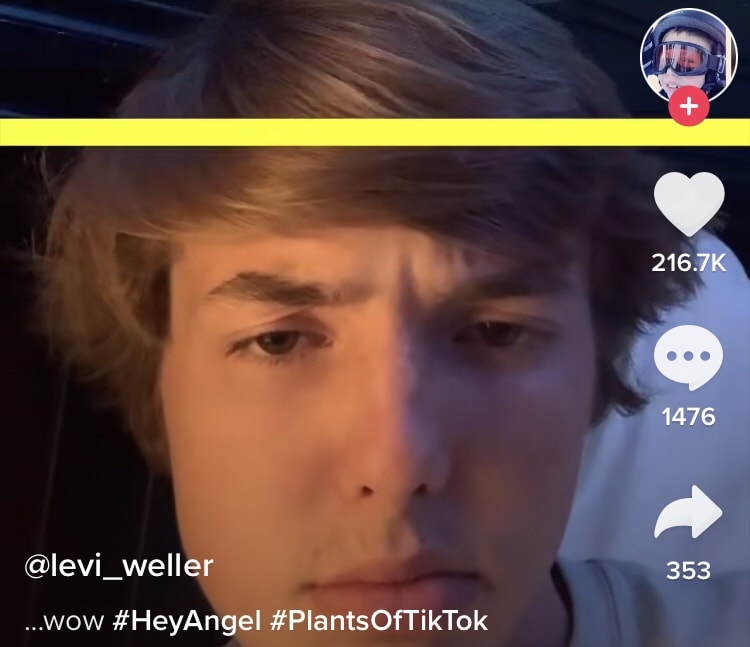 How to Get The Split Face Scan Effect TikTok - Snap Font