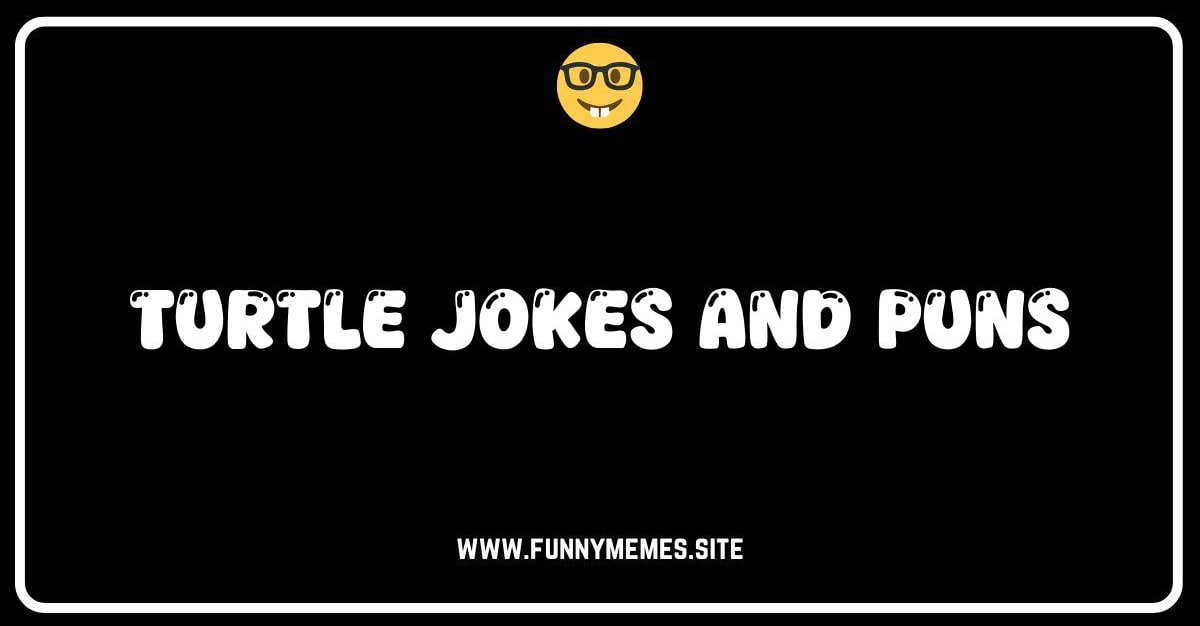 Shell-arious! The Best Turtle Jokes and Puns You'll Ever See — Funny Memes