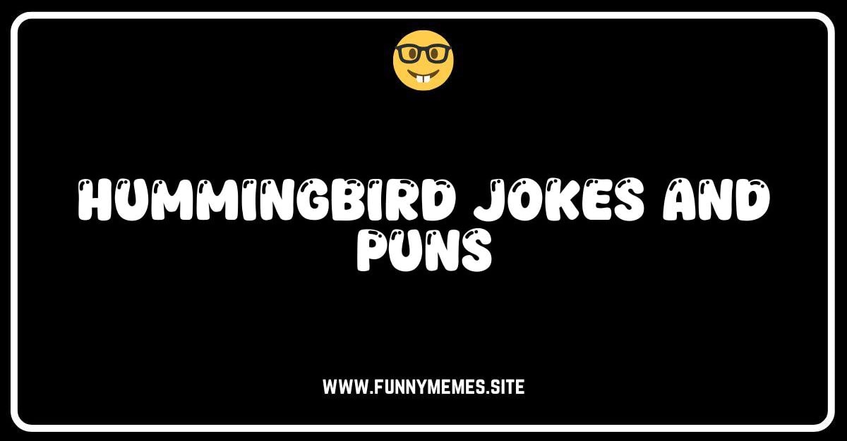 Hummingbird Humor: The Best Jokes and Puns to Make You Flutter! — Funny ...