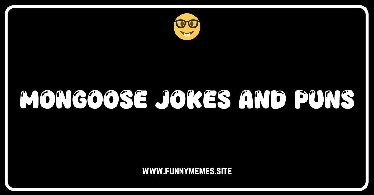 Mongoose Mayhem: 50+ Hilariously Vicious Mongoose Jokes & Puns! — Funny ...