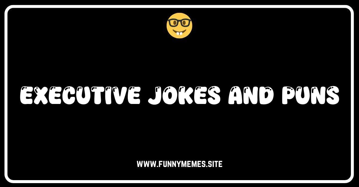 Executive Order: Hilarious Jokes & Puns for the C-Suite Crowd — Funny Memes