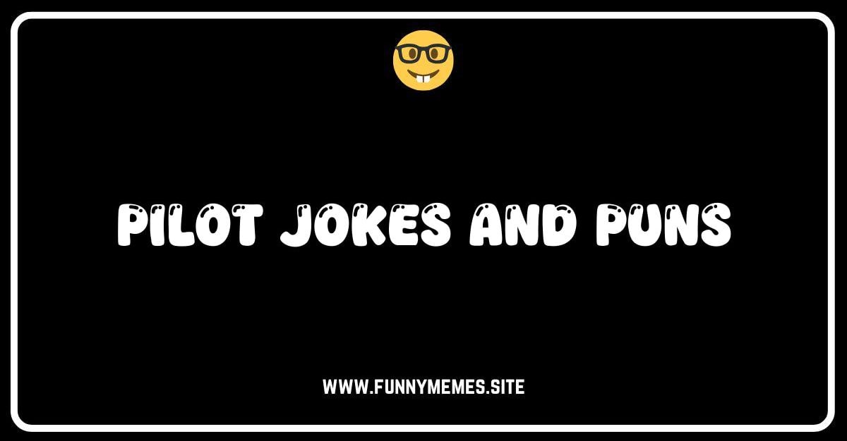 Winging It: The Funniest Pilot Jokes and Puns You'll Ever See! — Funny ...
