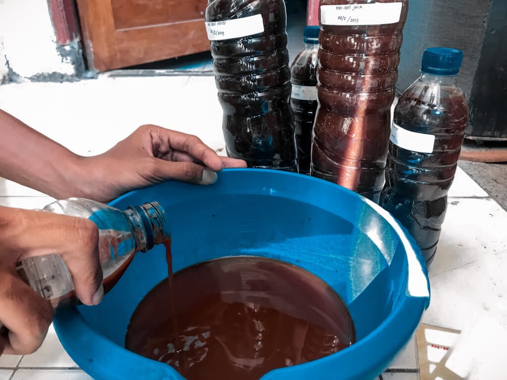 Mol sebagai Salah Satu Solusi Masalah Food Loss | Bhuana Yasa