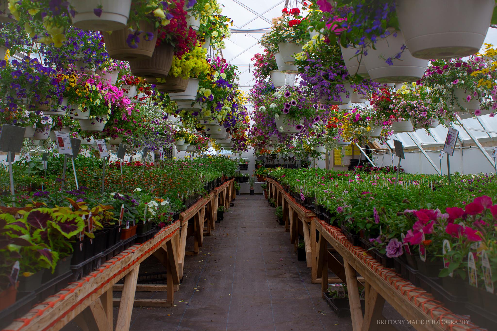 The Ultimate Greenhouse Tour