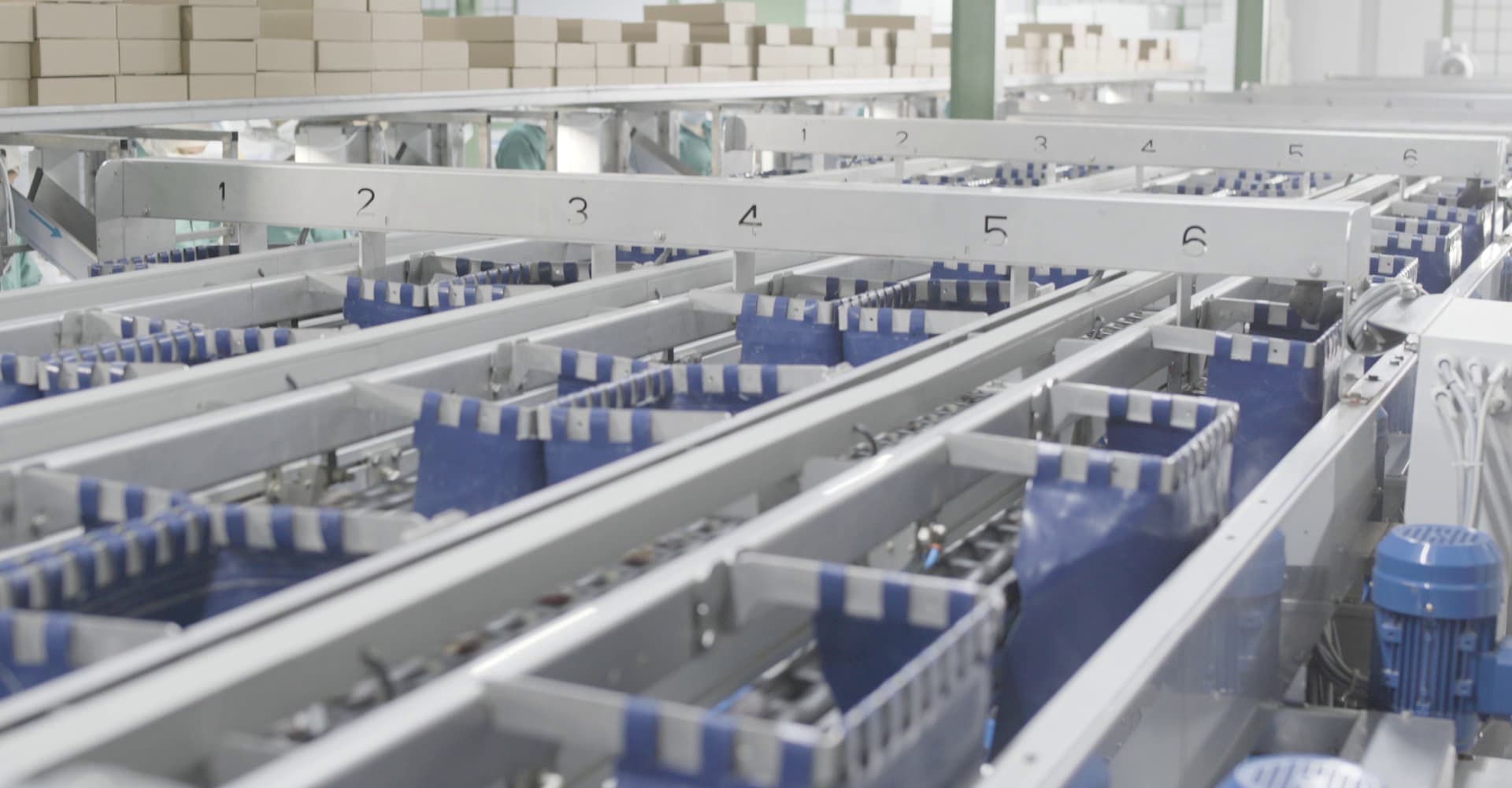 Date Sorting Machines | Quadra Machinery