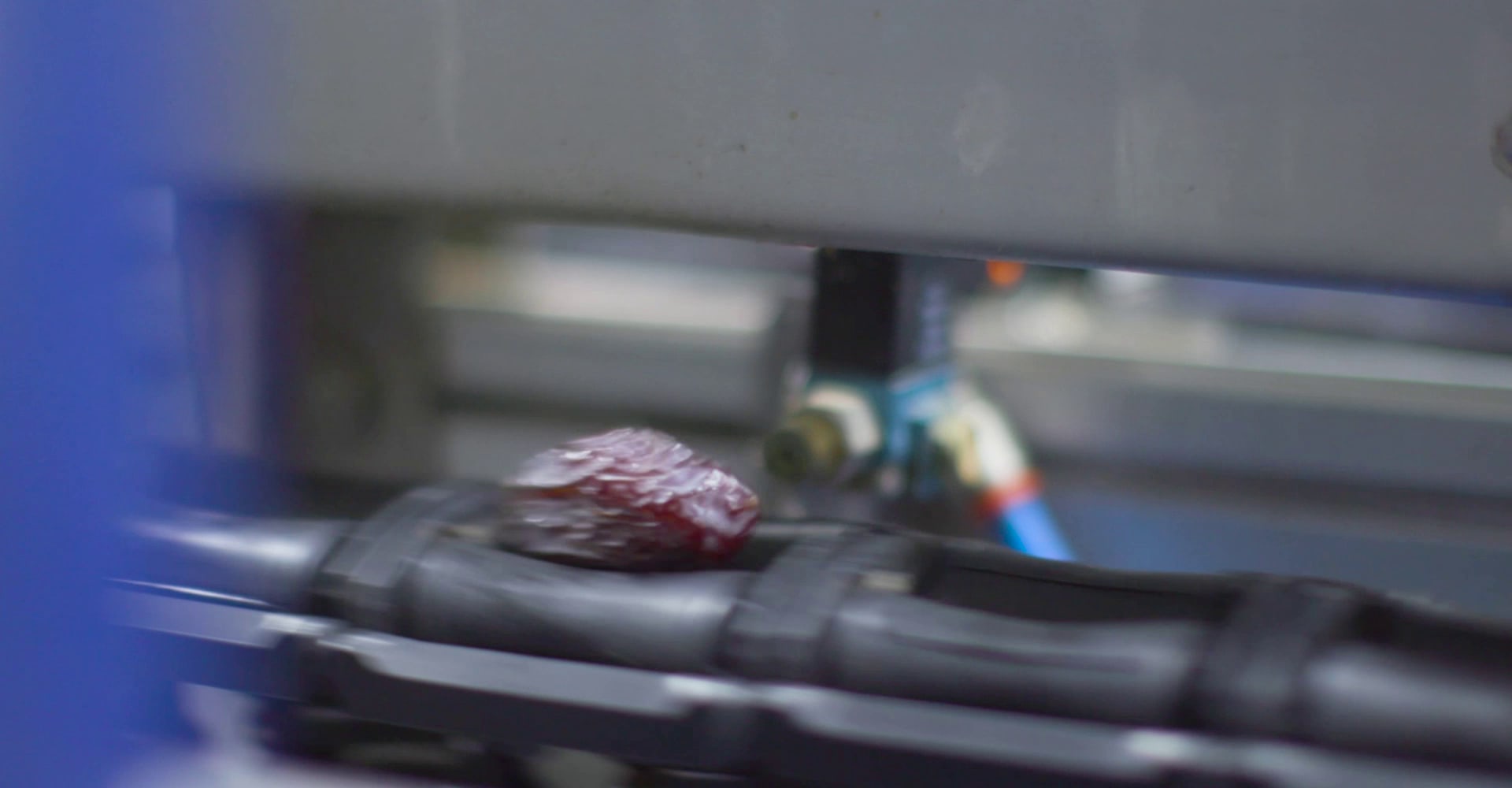 Date Sorting Machines | Quadra Machinery