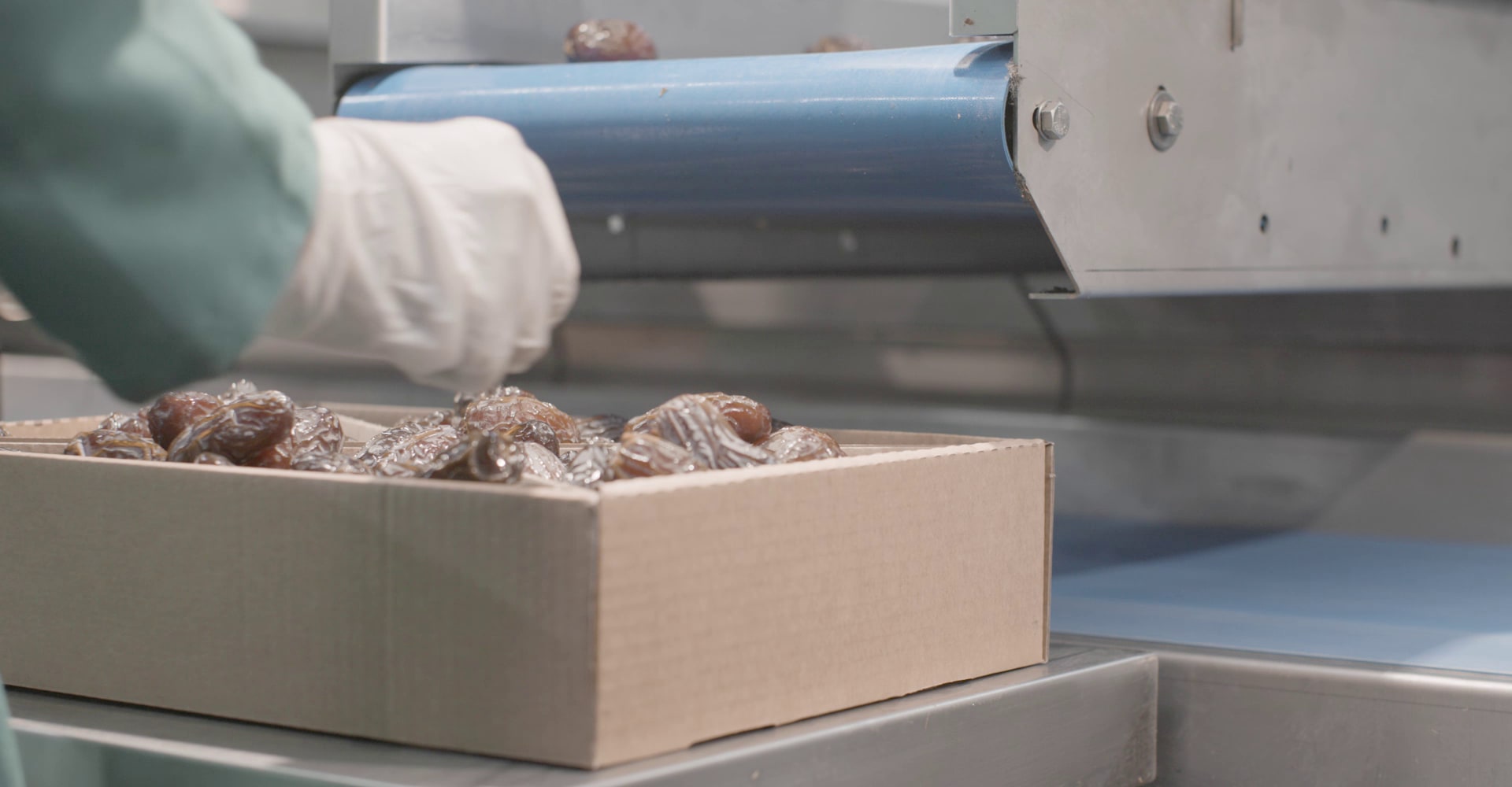 Date Sorting Machines | Quadra Machinery