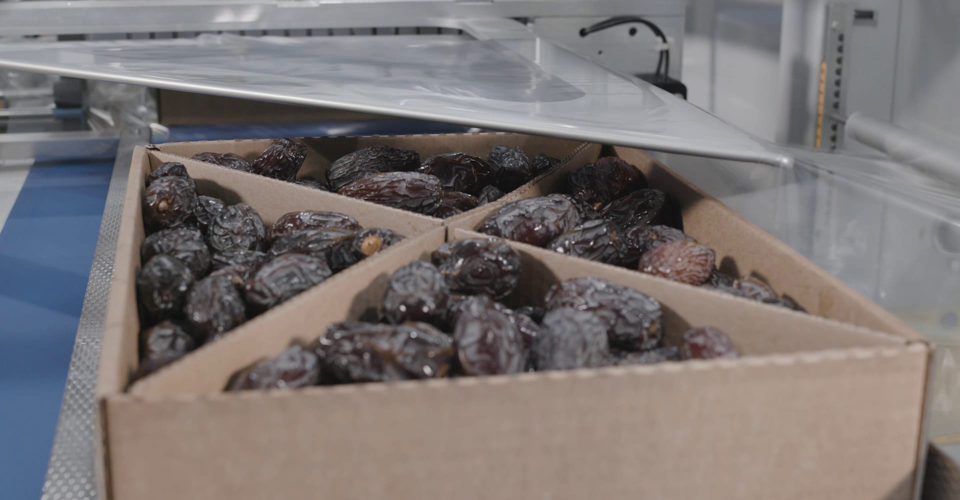 Date Sorting Machines | Quadra Machinery