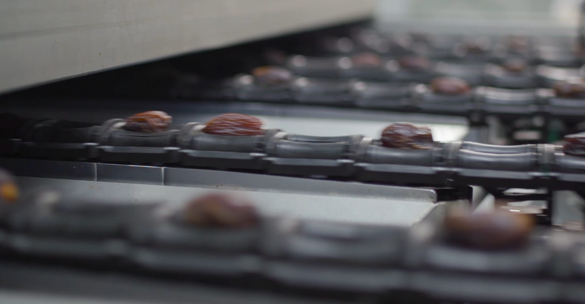 Date Sorting Machines | Quadra Machinery