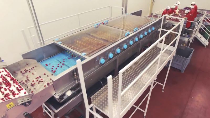 Fruit Sorting Lines | Quadra Machinery